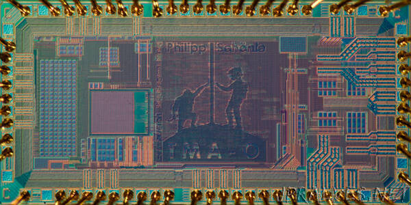 Microelectronics Shed Light On Neural Behaviour Jpralves