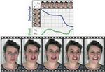 FaceDirector: Continuous Control of Facial Performance in Video ...